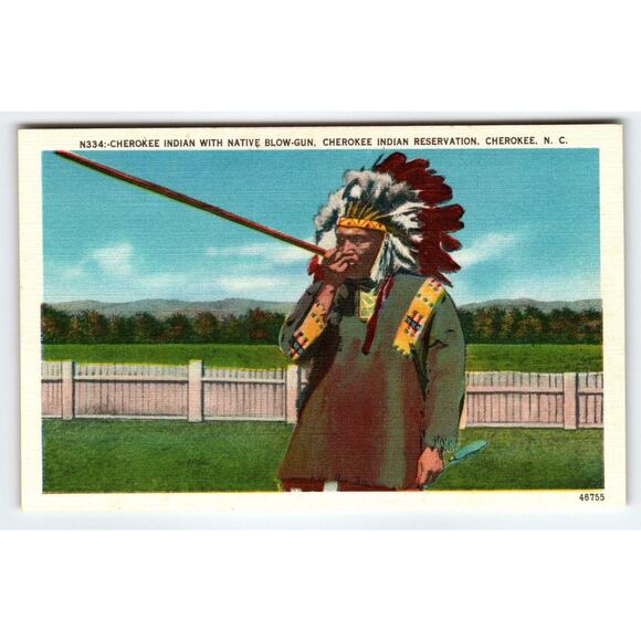 The Unbranded Brand | Accents | Cherokee Indian With Native Blow Gun ...